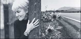 Picture of Cris Williamson