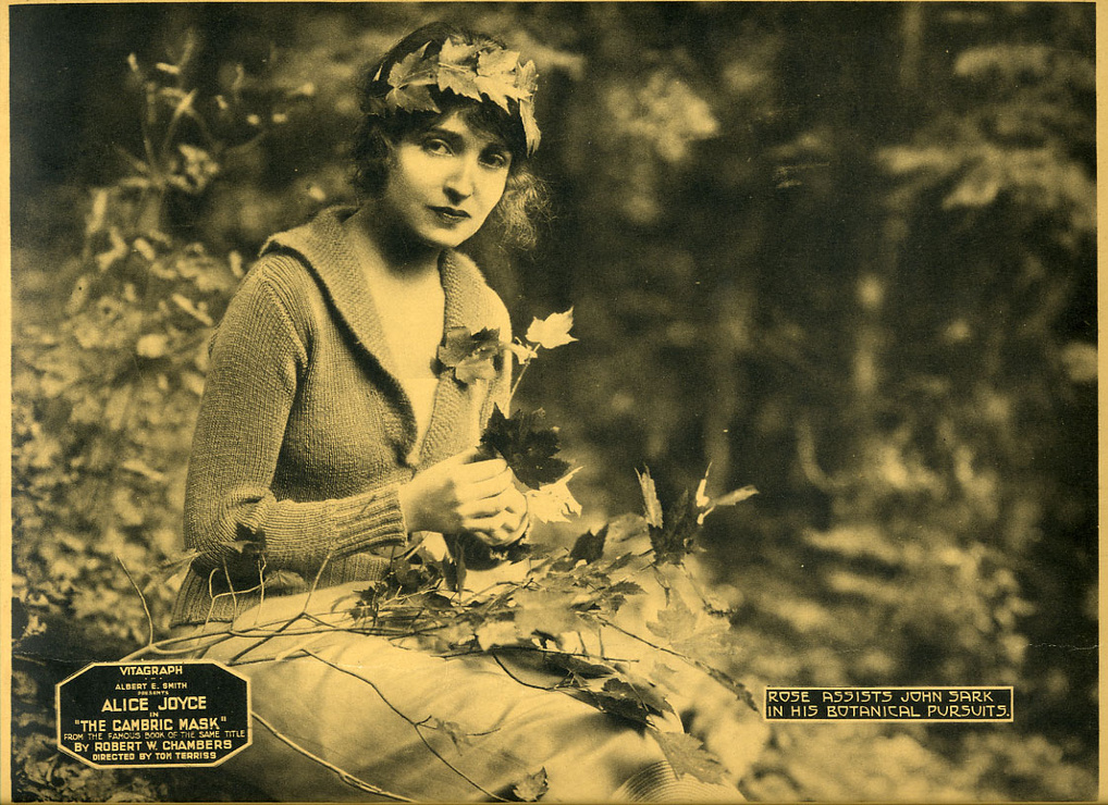 Picture Of Alice Joyce