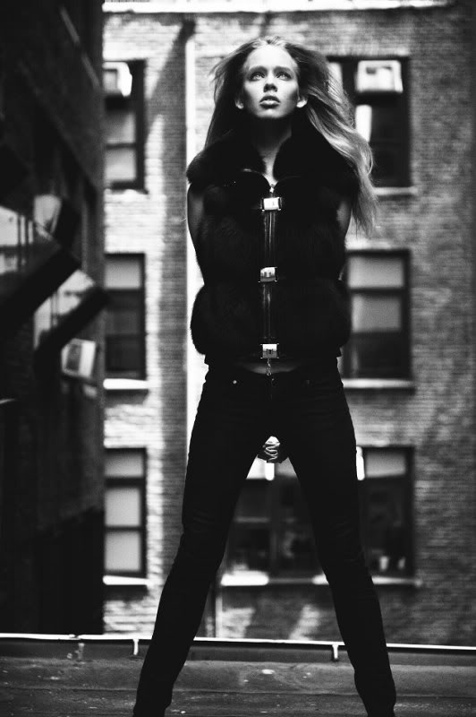 Picture of Lauren Brie Harding