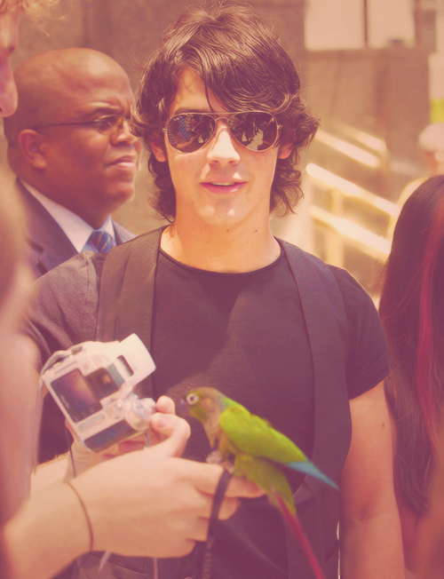 Picture of Joe Jonas