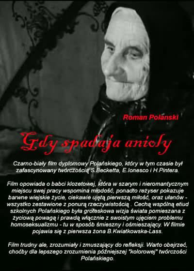 Picture of When Angels Fall