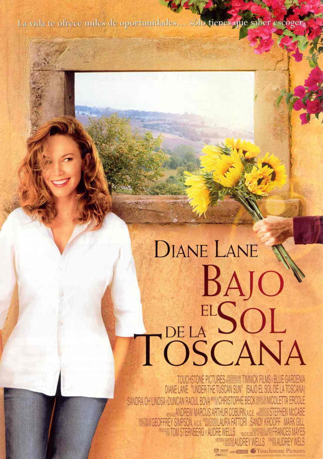 Picture of Under the Tuscan Sun