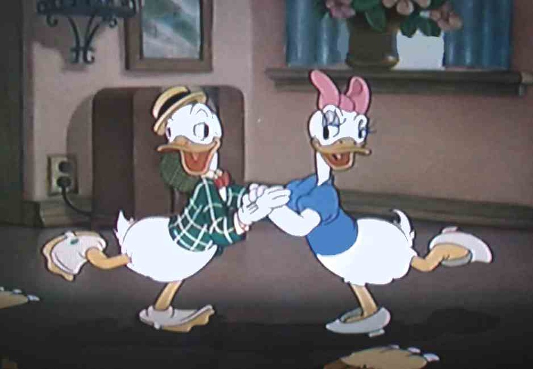 Picture of Mr. Duck Steps Out