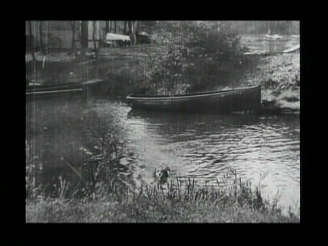 Picture of Rescued by Rover