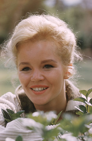 Tuesday Weld image