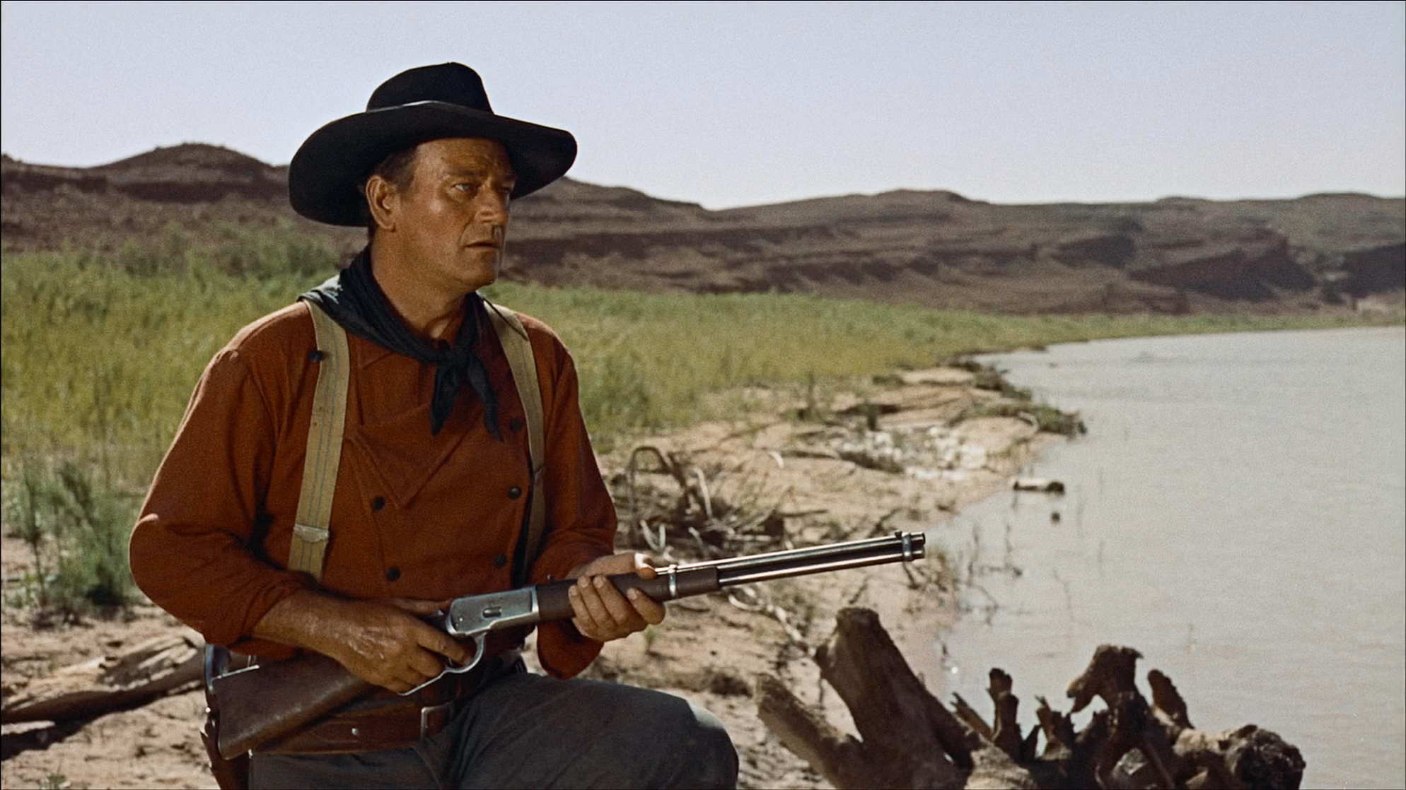Picture of The Searchers (1956)