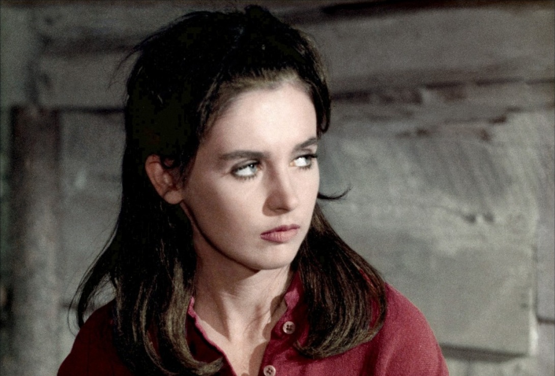 Picture of Millie Perkins