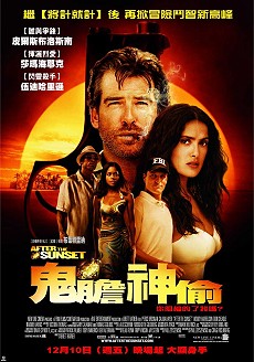 Picture of After the Sunset