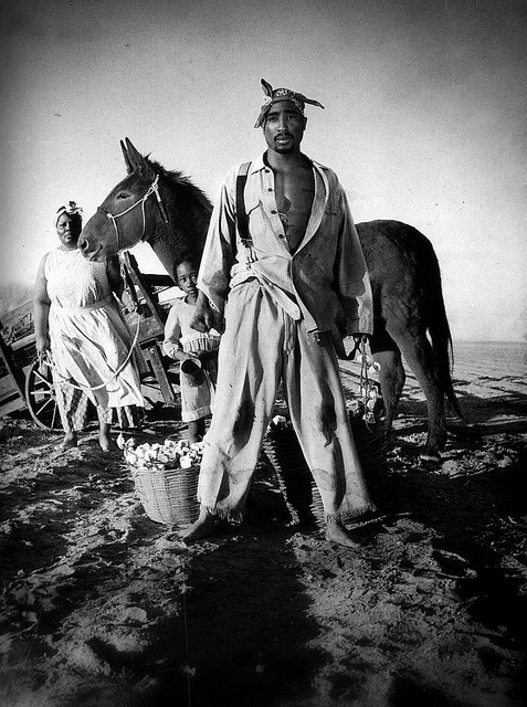 Picture of Tupac Shakur