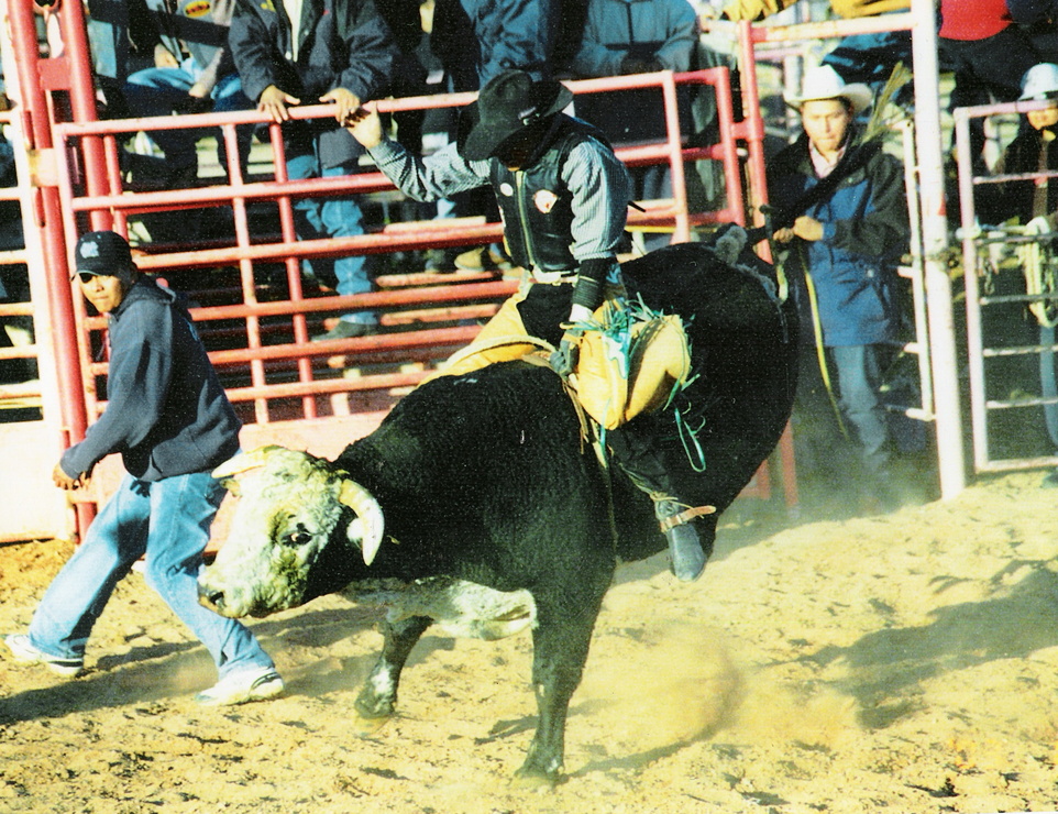 Ty(me) VS Jo Jo(bull)