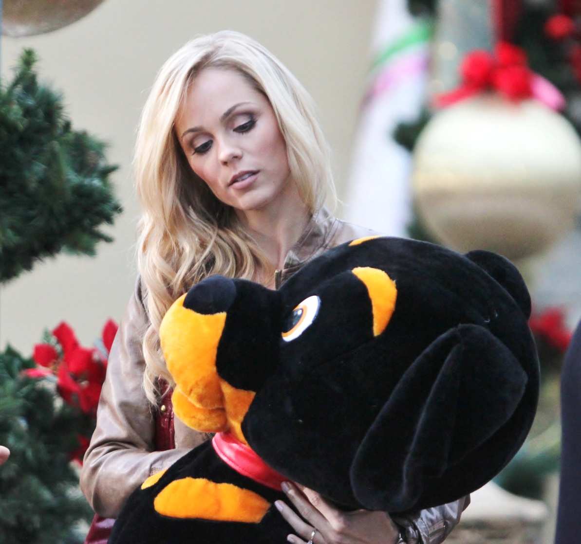 Picture of Laura Vandervoort