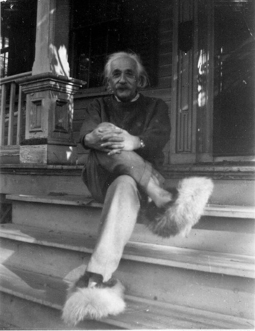 Picture of Albert Einstein
