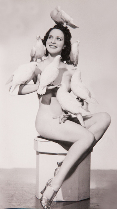 Picture of Rosita Royce