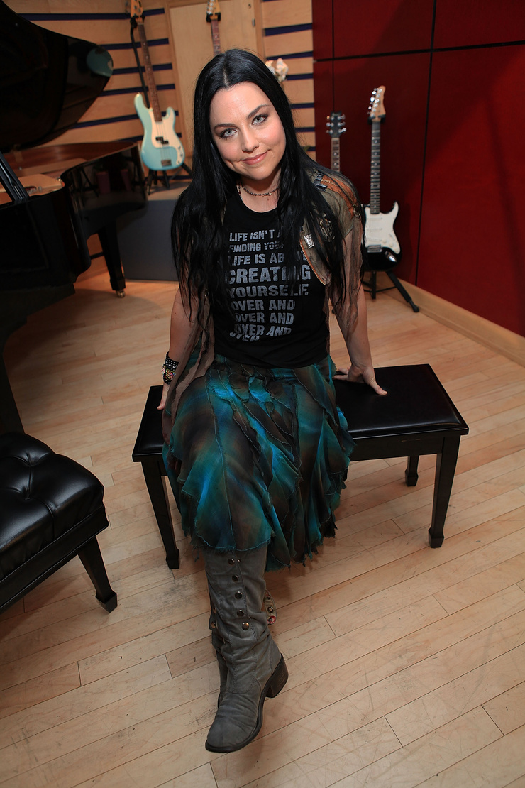 Picture of Amy Lee