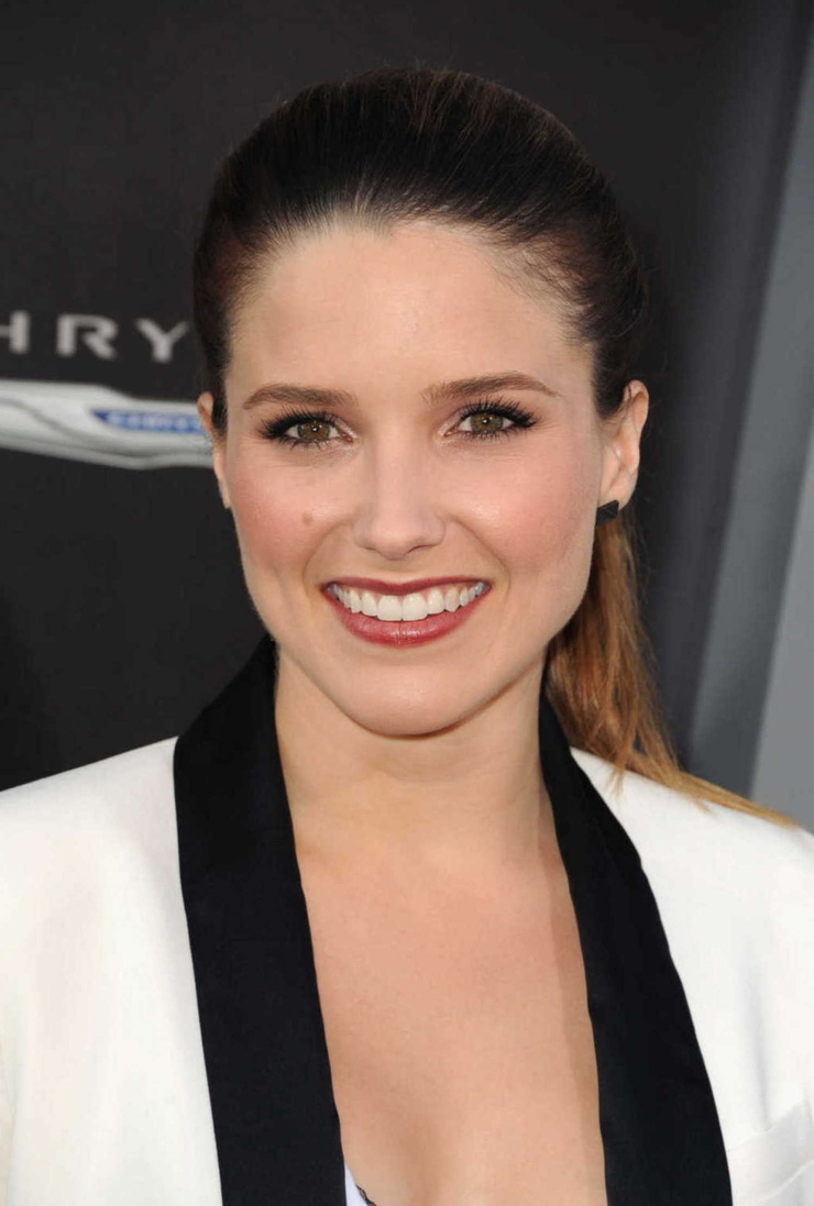 Picture of Sophia Bush