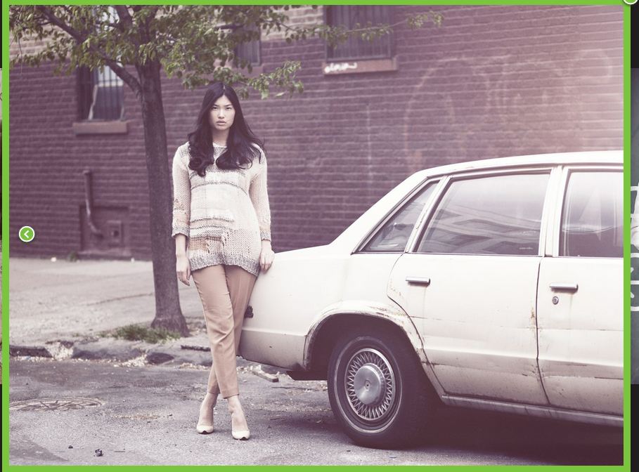 Stephanie Shiu image