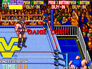 Picture of WWF Wrestlefest