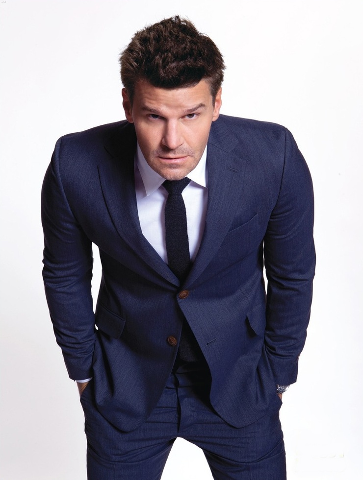 David Boreanaz picture