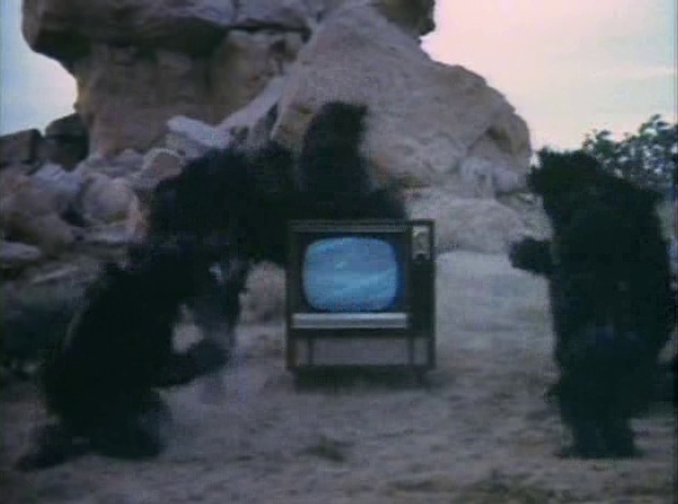 Picture of The Groove Tube (1974)