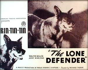 Picture of The Lone Defender