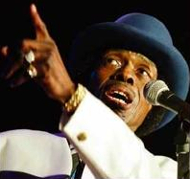 Junior Wells picture