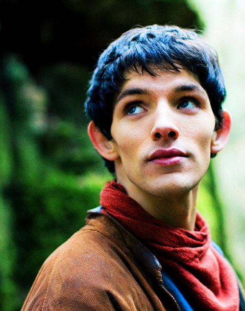 Picture of Merlin