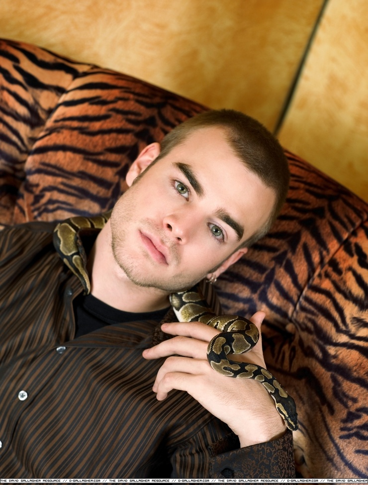 Image of David Gallagher
