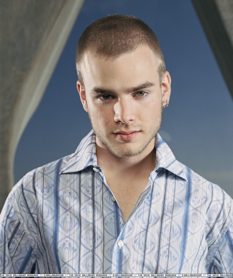David Gallagher picture