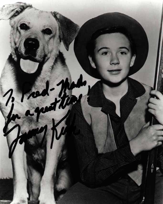 Tommy Kirk image
