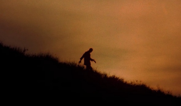 Picture of The Incredible Melting Man (1977)