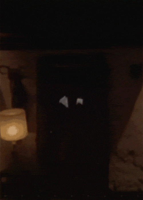 Picture of The Evil Dead (1981)
