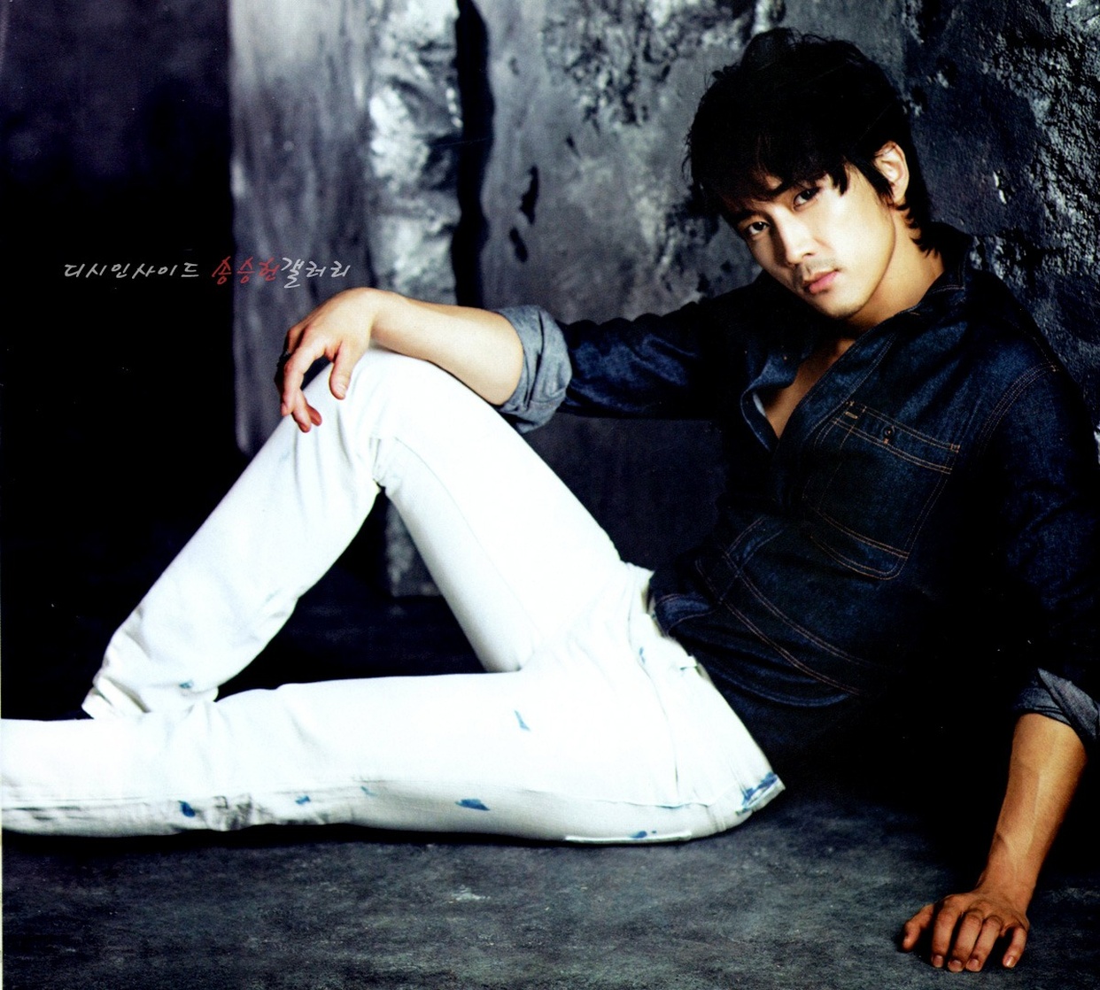 Song Seung-Hun picture