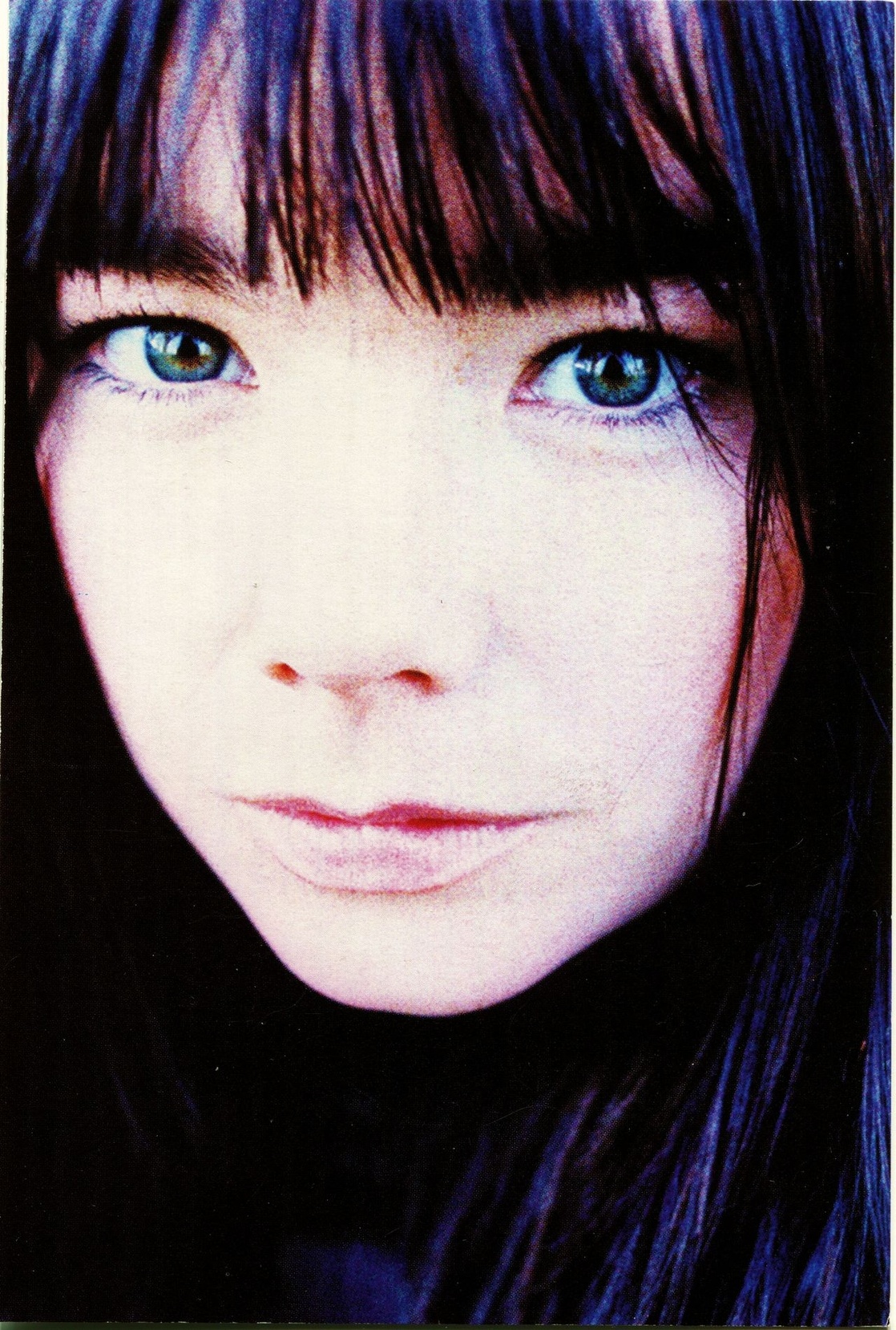 Picture of Björk