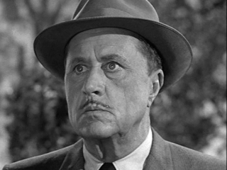 Picture of Allyn Joslyn