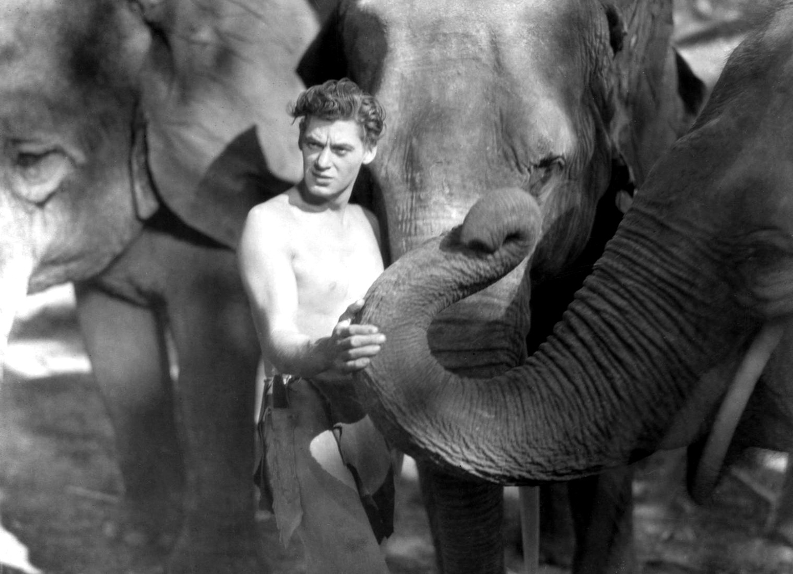 Picture of Tarzan the Ape Man