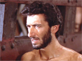 Image of Maxwell Shaw