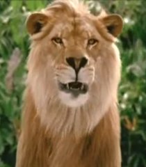 Picture of George Of The Jungle 2