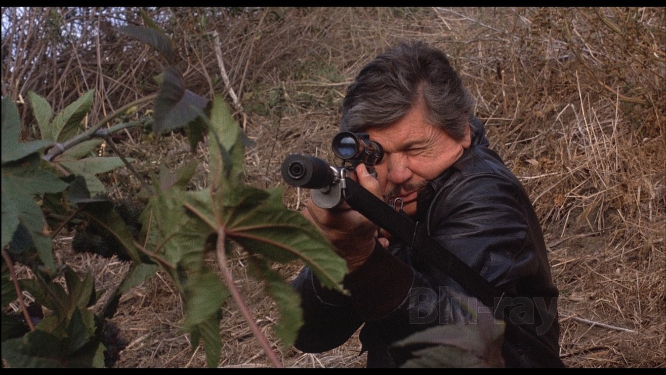 Image of Death Wish 4: The Crackdown