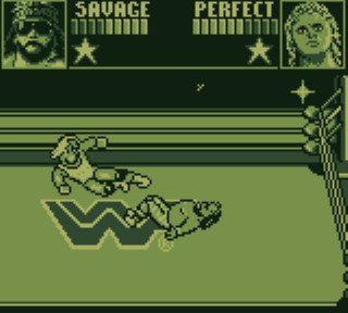 Picture of WWF Superstars