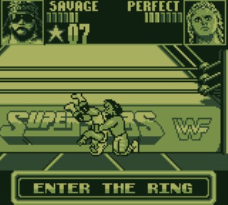 Picture of WWF Superstars