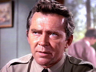 James Broderick picture