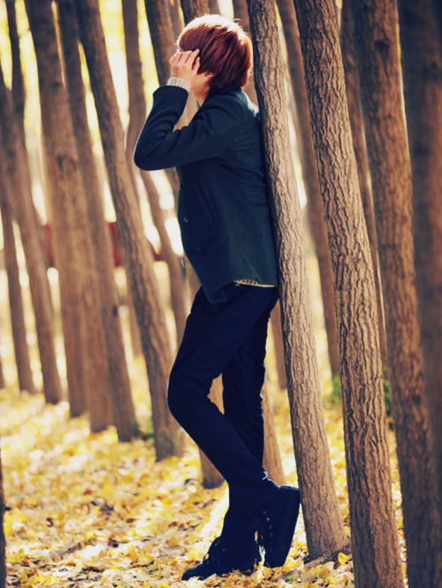Picture of Lee Chi Hoon