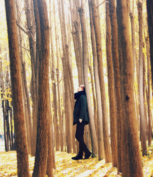 Picture of Lee Chi Hoon