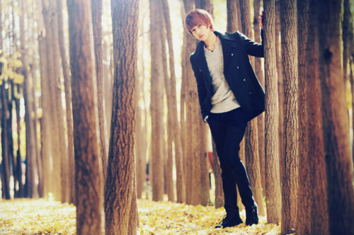 Picture of Lee Chi Hoon