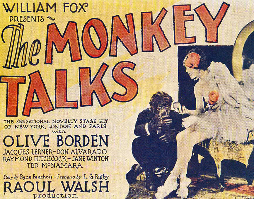 Picture of The Monkey Talks