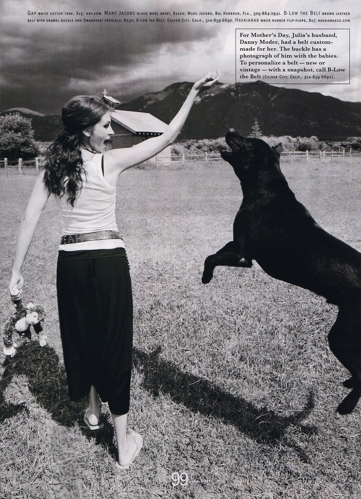 Picture of Julia Roberts