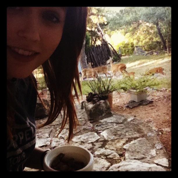 Picture of Nicole Elliott