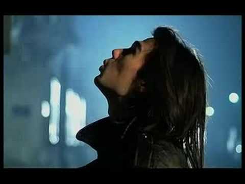 Nebojsa Bakocevic image