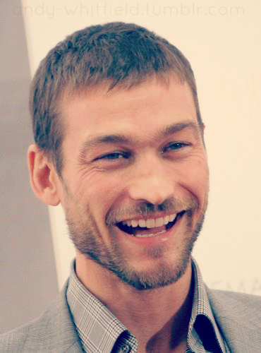 Andy Whitfield picture