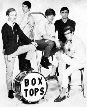 Image of The Box Tops